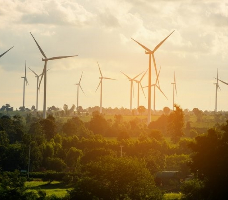 ACIF -CCIM - Associação Comercial e Industrial do Funchal